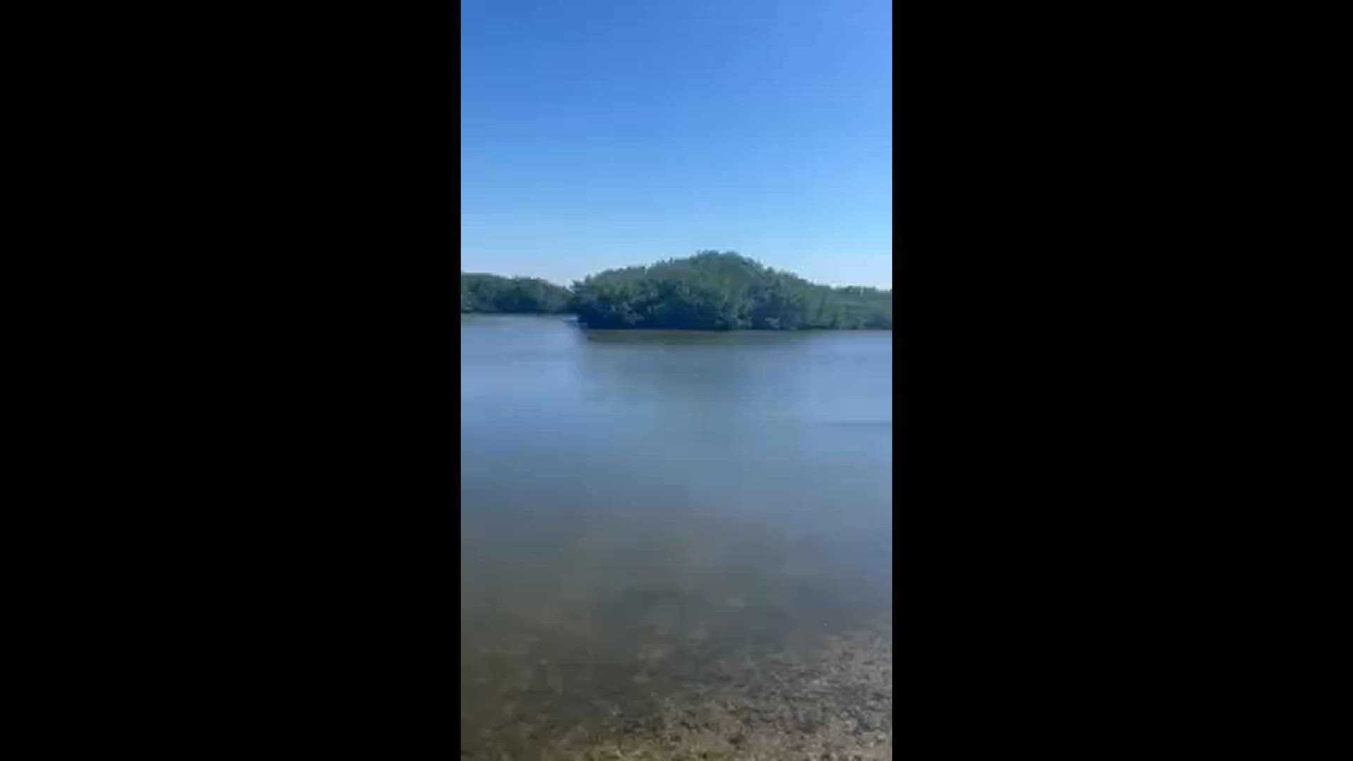 WATCH: Only known U.S. jaguar, 'El Jefe,' filmed in Arizona mountains ...