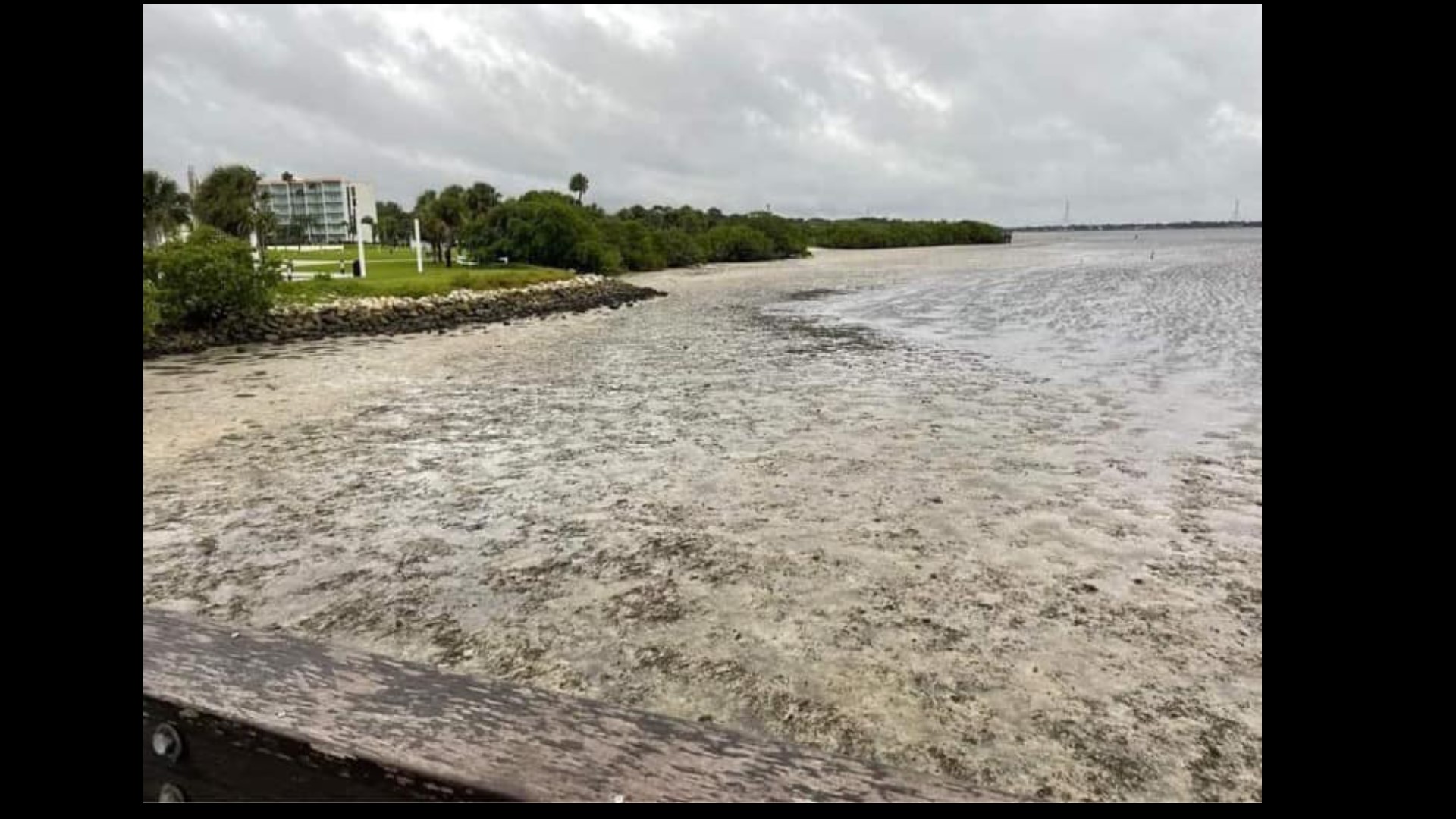 PHOTOS: 'Reverse storm surge' seen in Tampa Bay area | wtsp.com