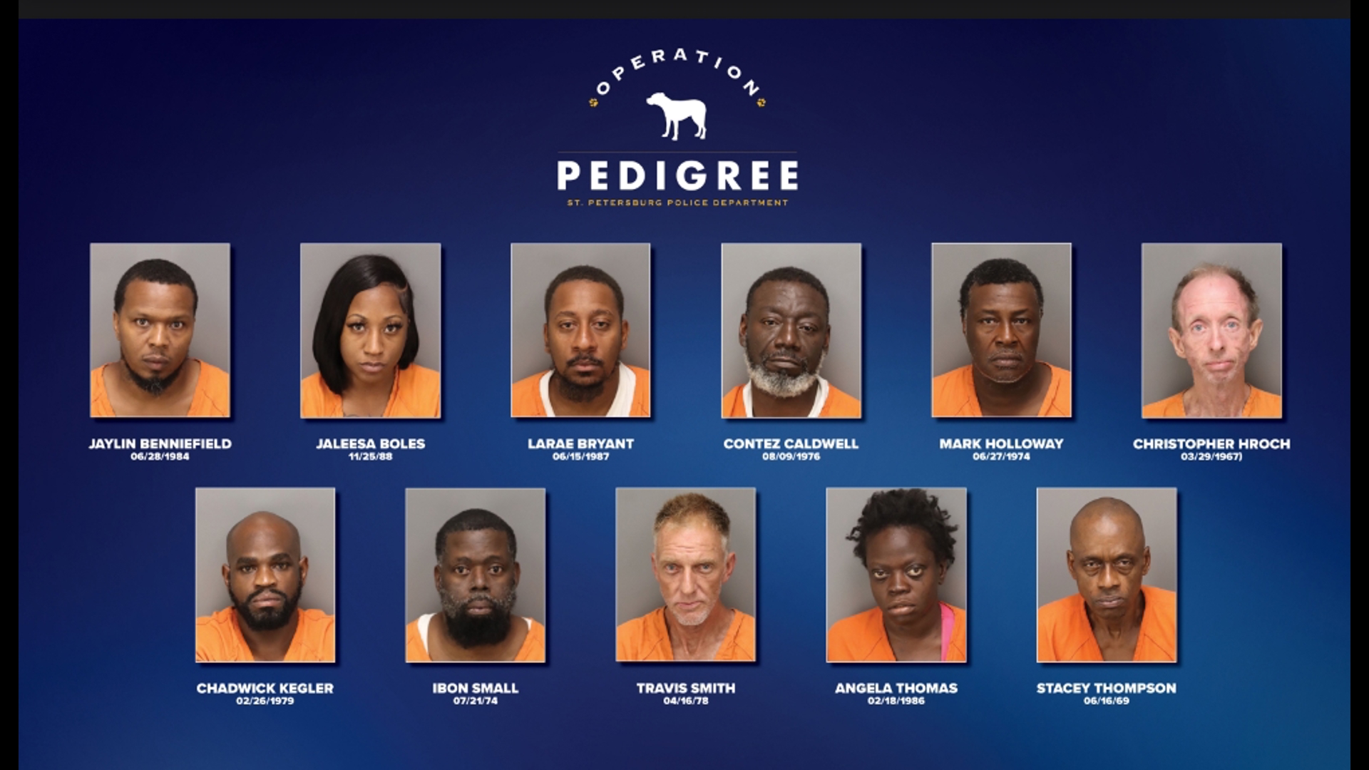 Pinellas County drug bust reveals dog fighting ring | wtsp.com