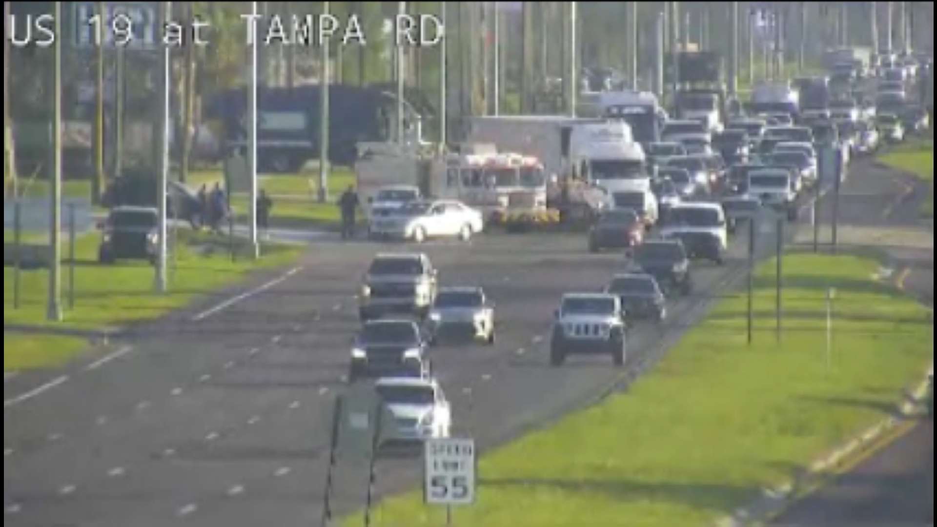 Tampa Bay, Florida traffic: Crash in Palm Harbor | wtsp.com