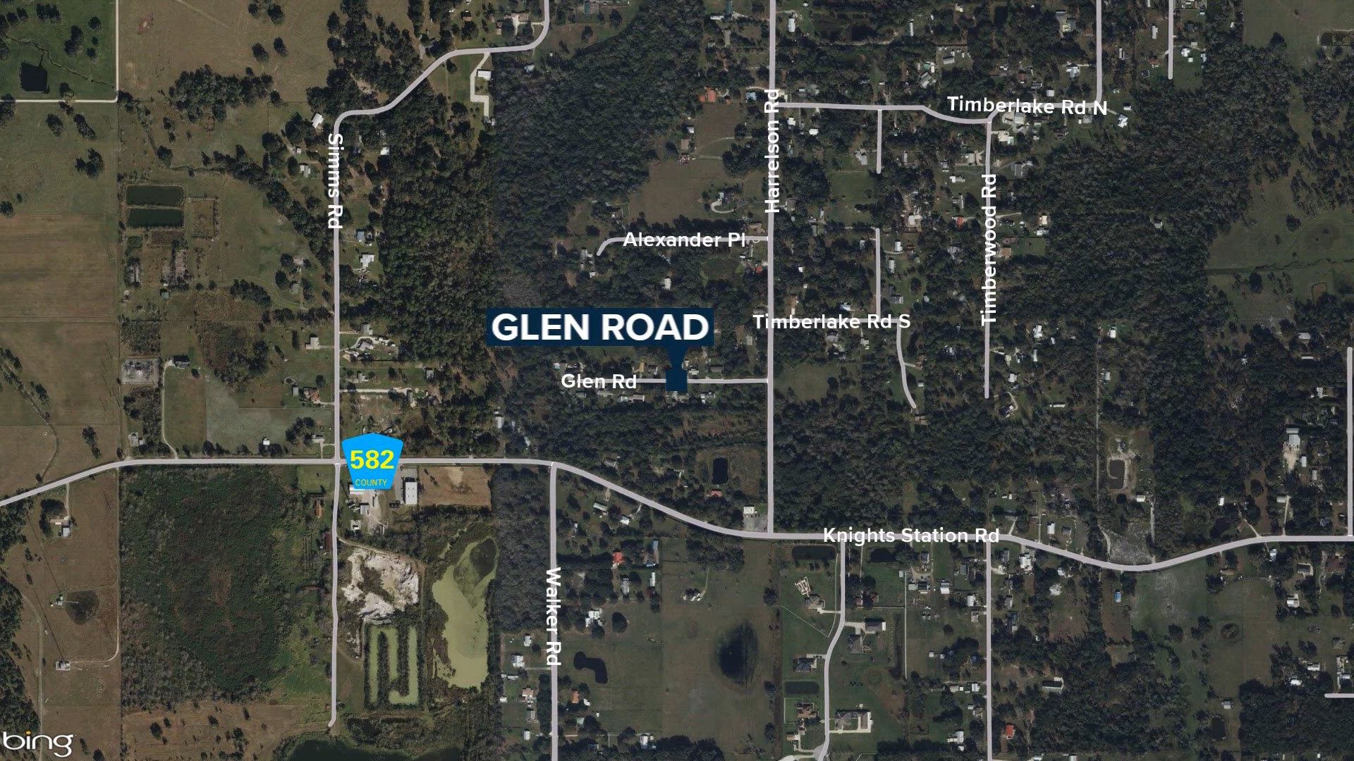 Rabid cat attacks 5 people and a puppy in Lakeland | wtsp.com
