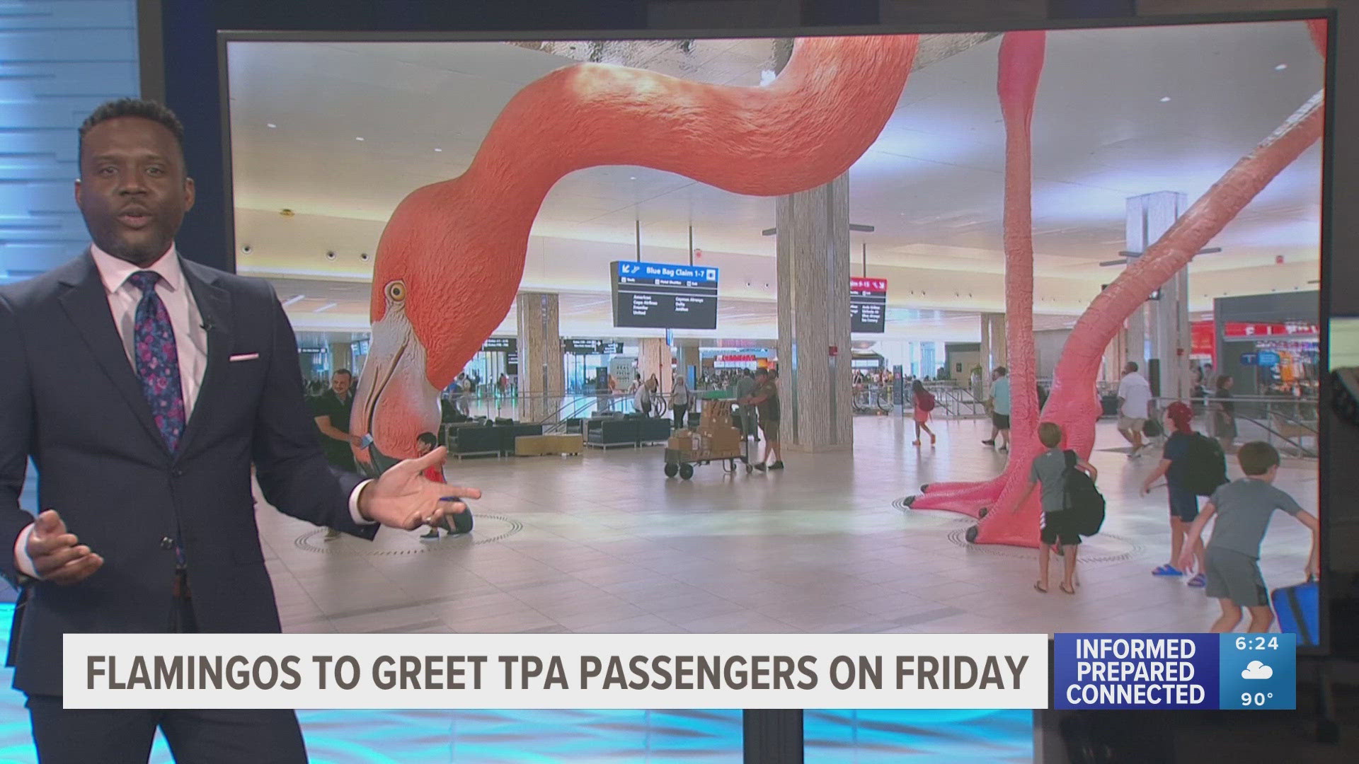 Live flamingos to join giant statue at TPA to greet travelers | wtsp.com