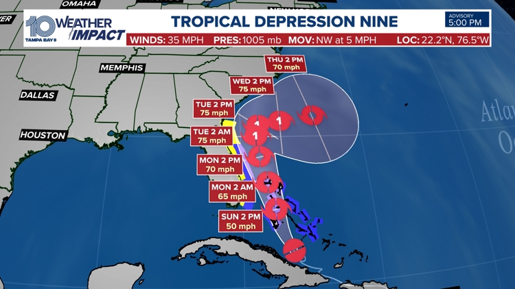 About 10 Tampa Bay WTSP | wtsp.com