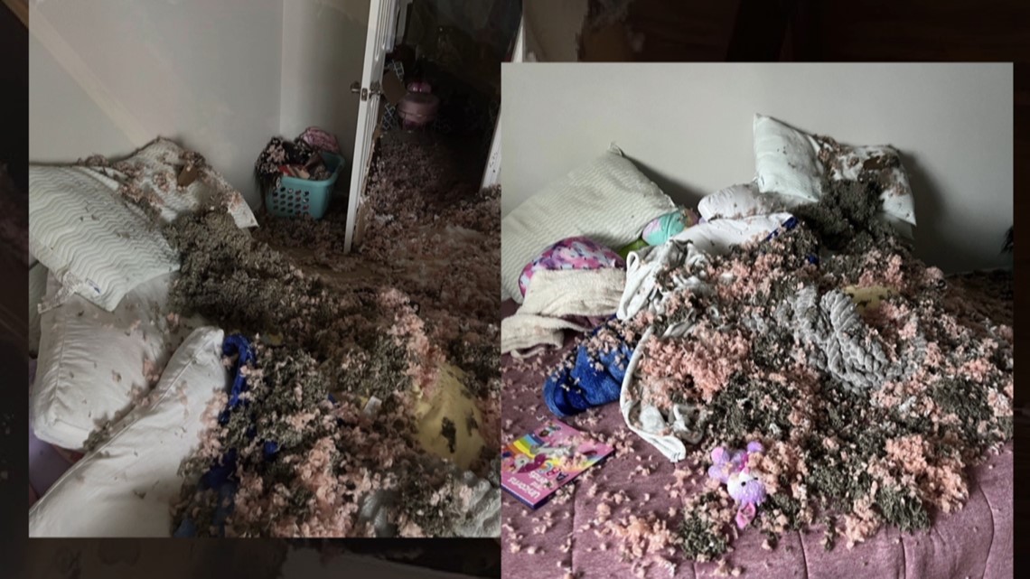 Clearwater woman's ceiling collapses during apartment roof work | wtsp.com