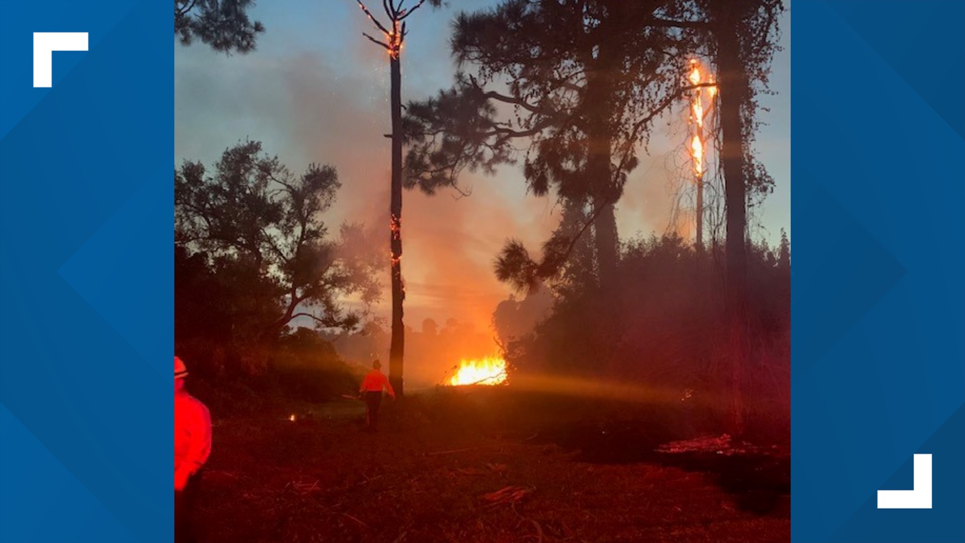 Crews put out Venice brush fires 'intentionally' set by person | wtsp.com