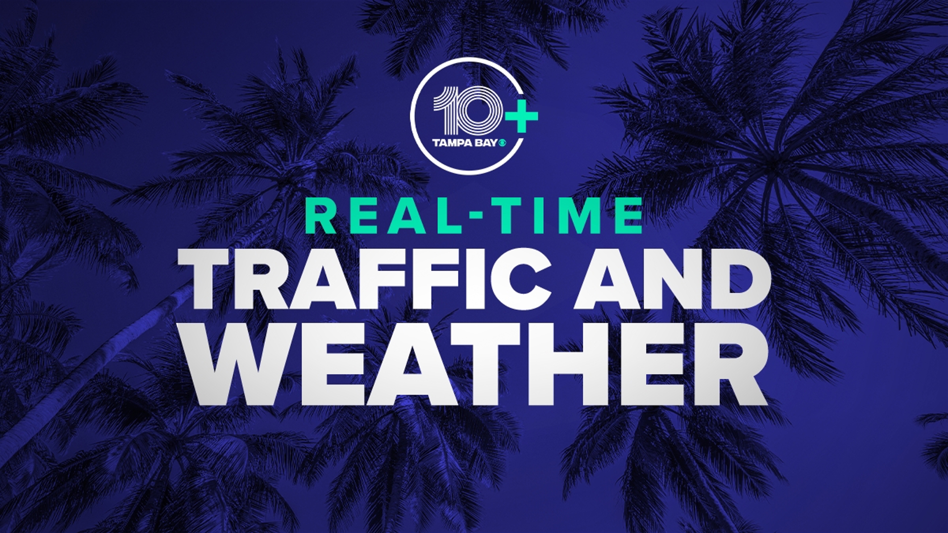 Watch | 10 Tampa Bay Live and On-Demand Videos | Tampa, Florida | wtsp.com