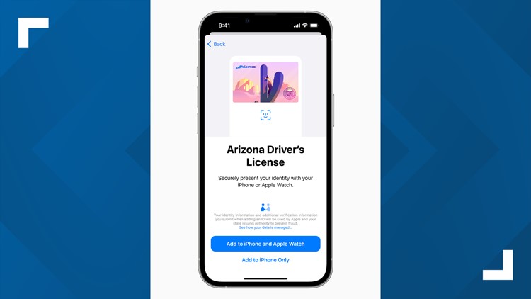 Digital IDs in Florida not yet ready to launch | wtsp.com