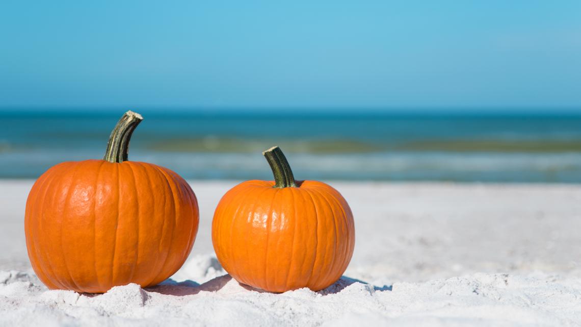 Tampa Bay area experiences 'false fall' with cooler, drier weather ...