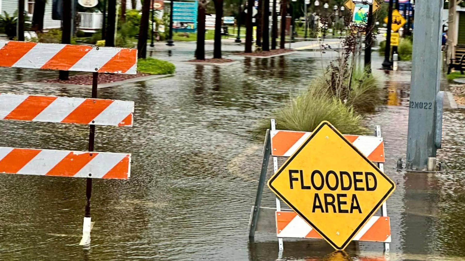 Hurricane Debby damage: Tampa Bay assesses flooding after storm | wtsp.com
