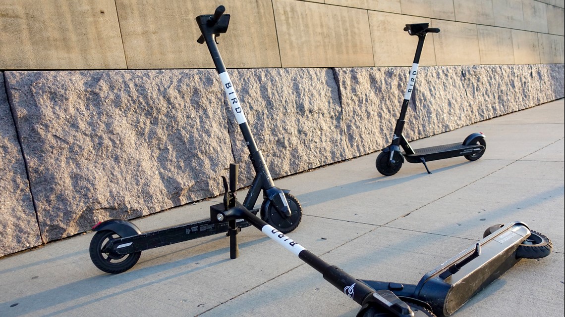Bird electric scooters bankruptcy protection | wtsp.com