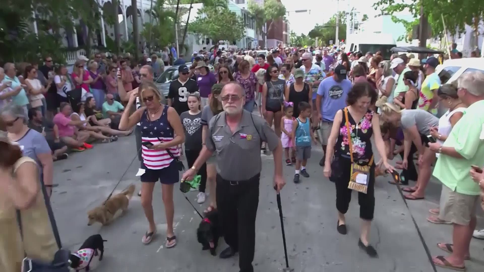 Are Dogs Allowed In Key West