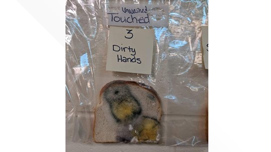 Idaho teacher's experiment shows importance of washing hands | wtsp.com