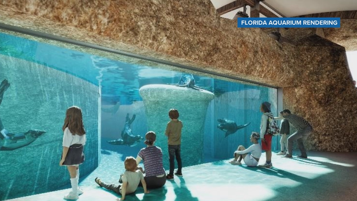 $15M approved for Florida Aquarium redevelopment | wtsp.com