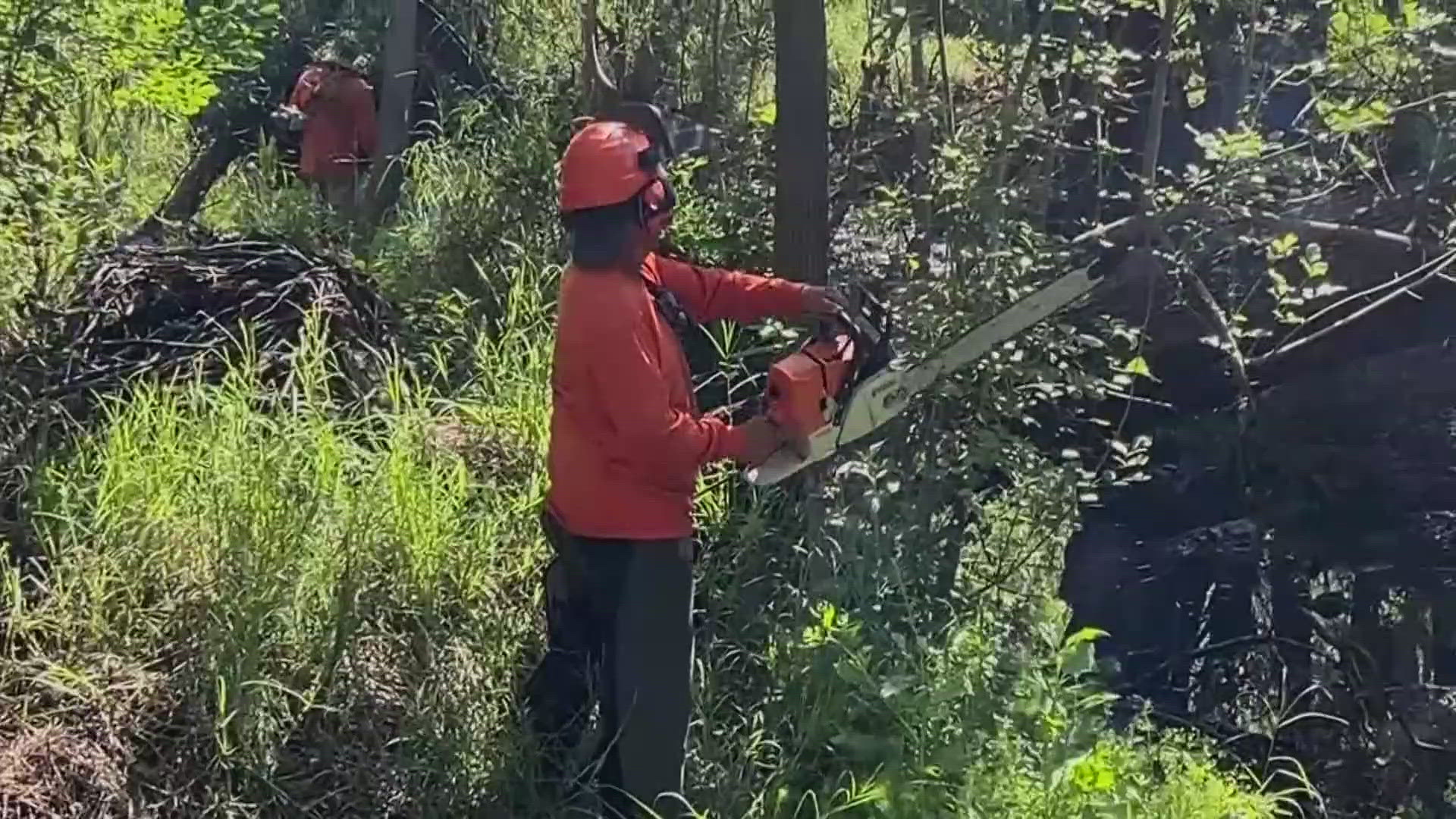 Manatee County clears out canals to prevent flooding | wtsp.com