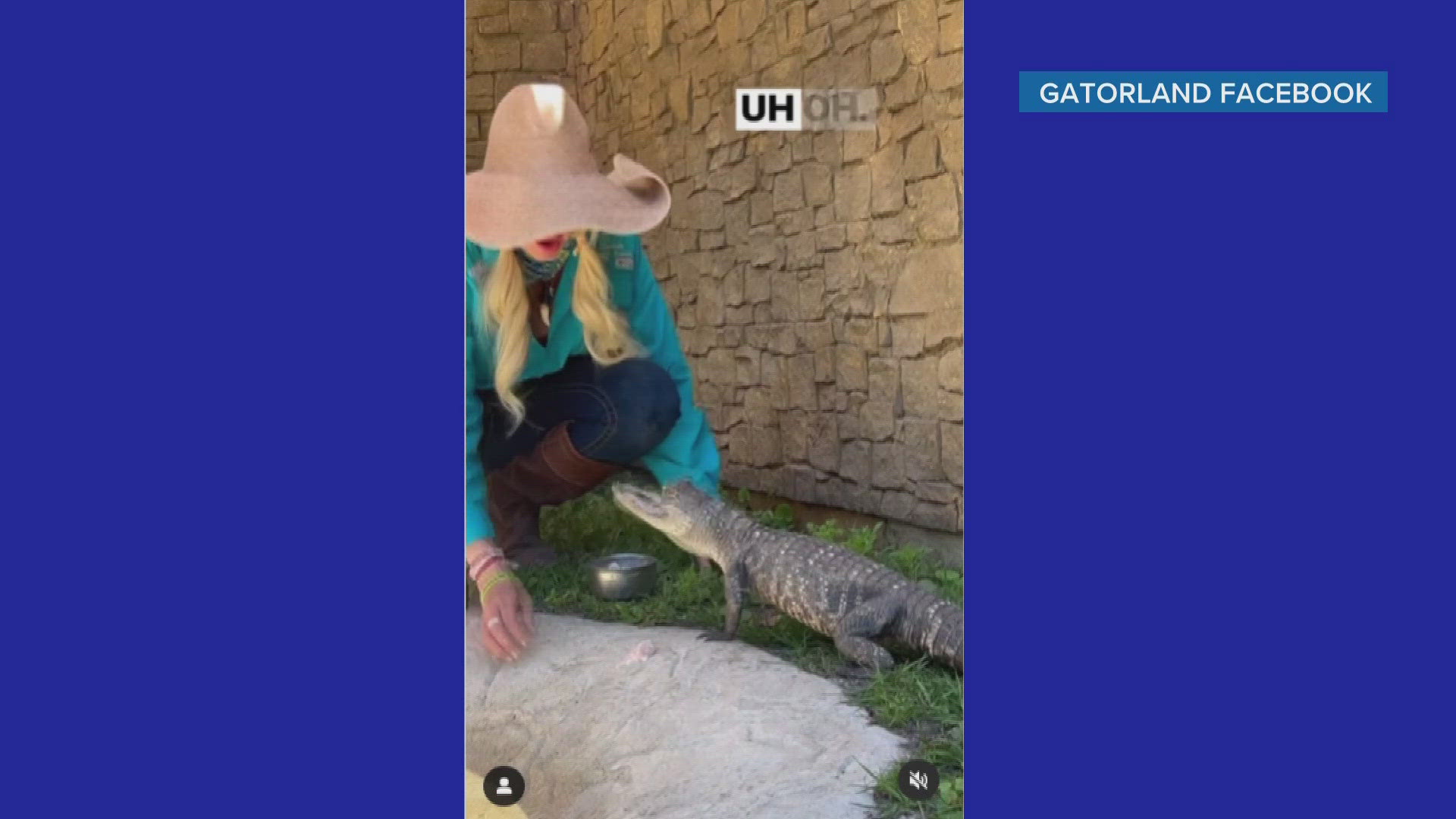 Jawless alligator named Jawlene thrives at Gatorland | wtsp.com