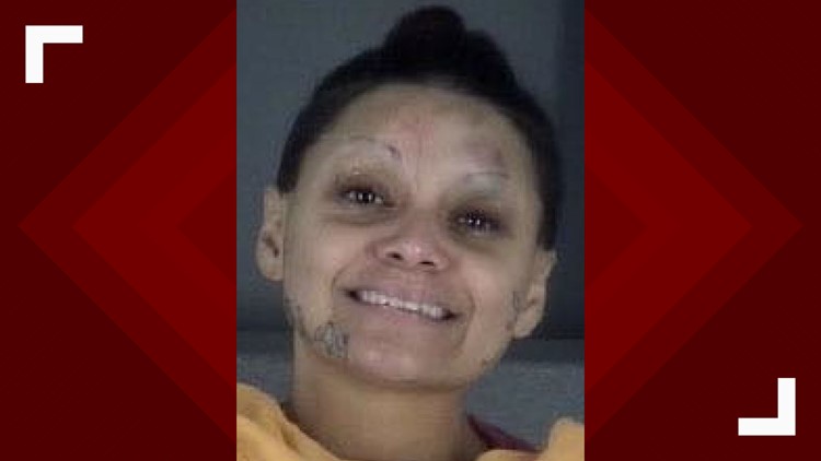 Pasco County stripper accused of stealing power meter from club ...