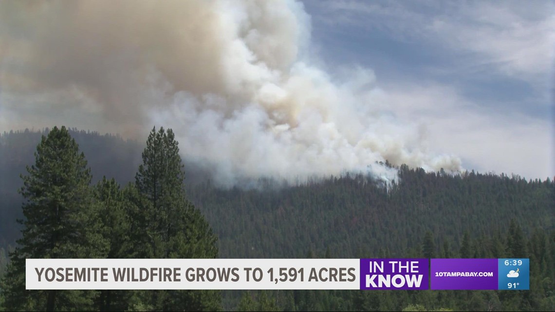 Yosemite fire grows as crews protect iconic sequoias | wtsp.com