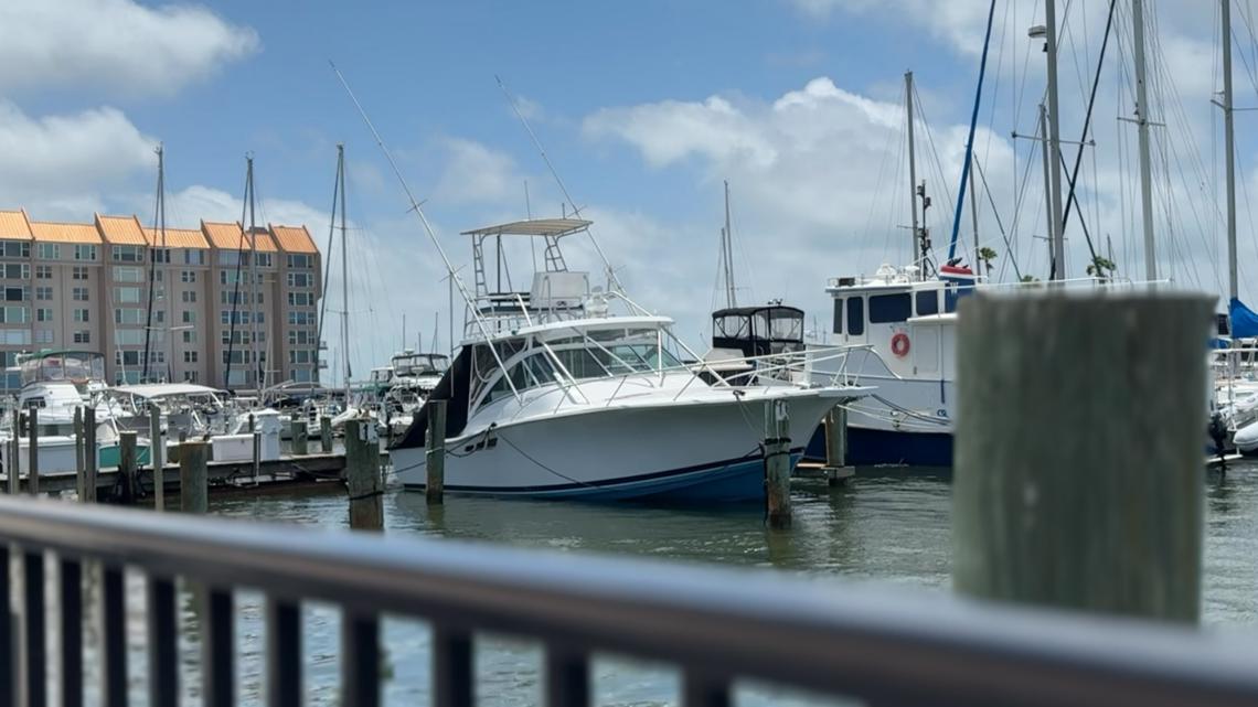 Master plan set to renovate Dunedin Marina | wtsp.com