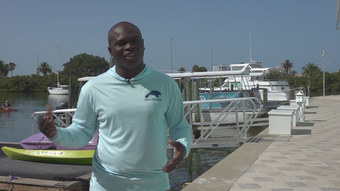 'Manatee Man' dedicates his life to saving manatees | wtsp.com