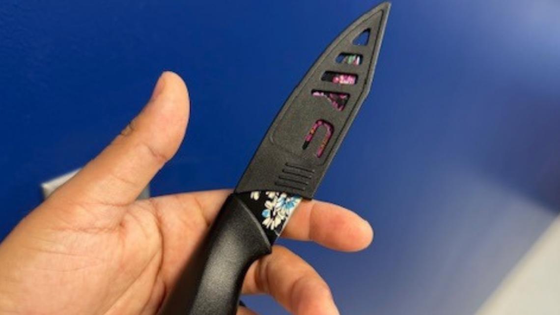 Teen arrested after bringing knife to Hillsborough County school | wtsp.com