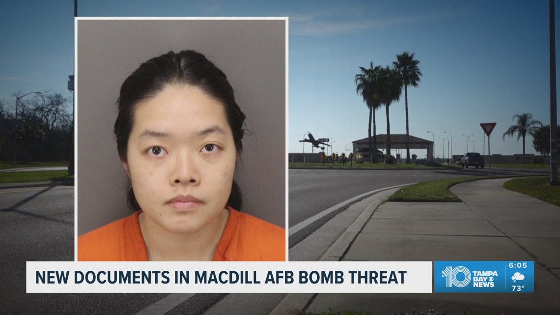 Woman used ChatGPT to help brother accused of planting bomb at MacDill ...