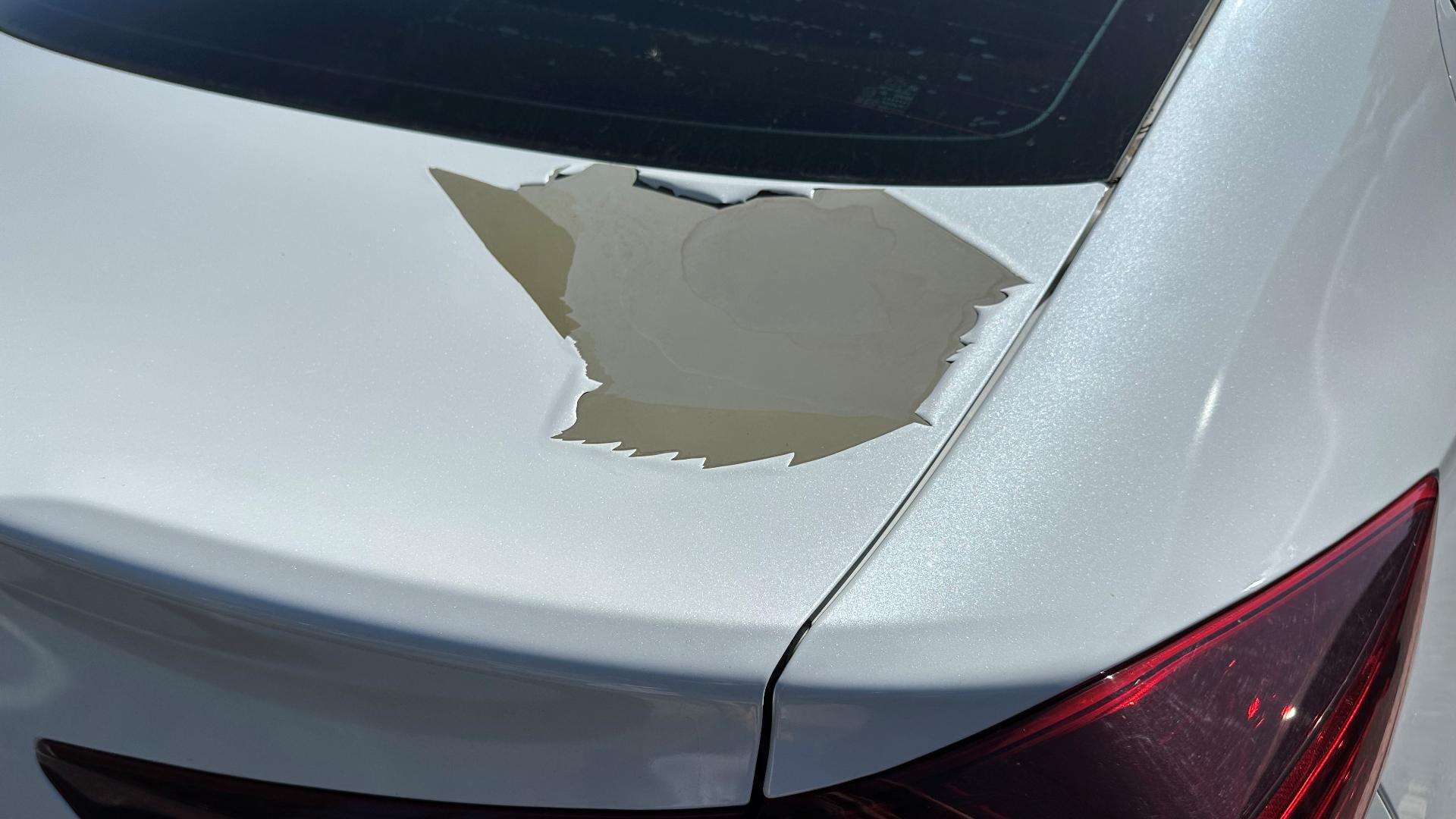 Car paint-peeling problem affecting thousands in Florida | wtsp.com