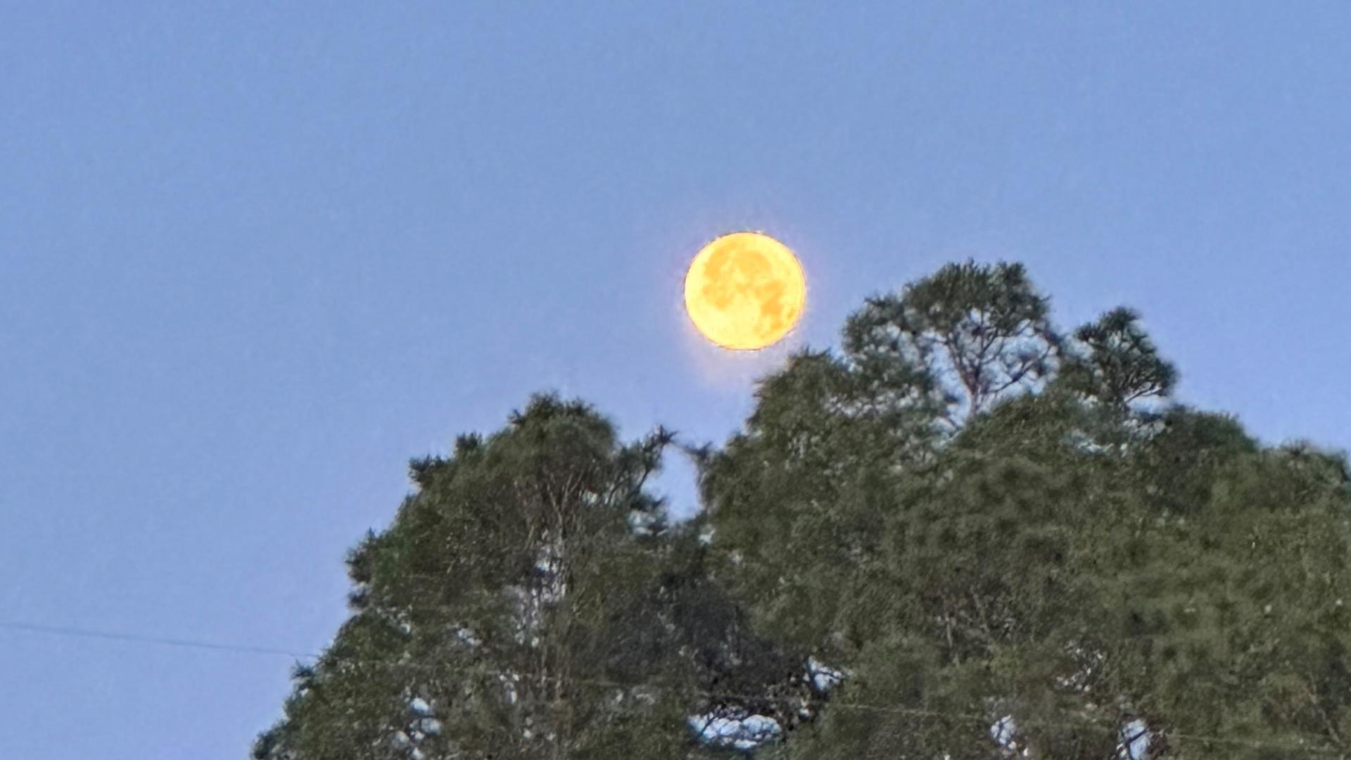 Here's when you can expect to see the next full moon | wtsp.com