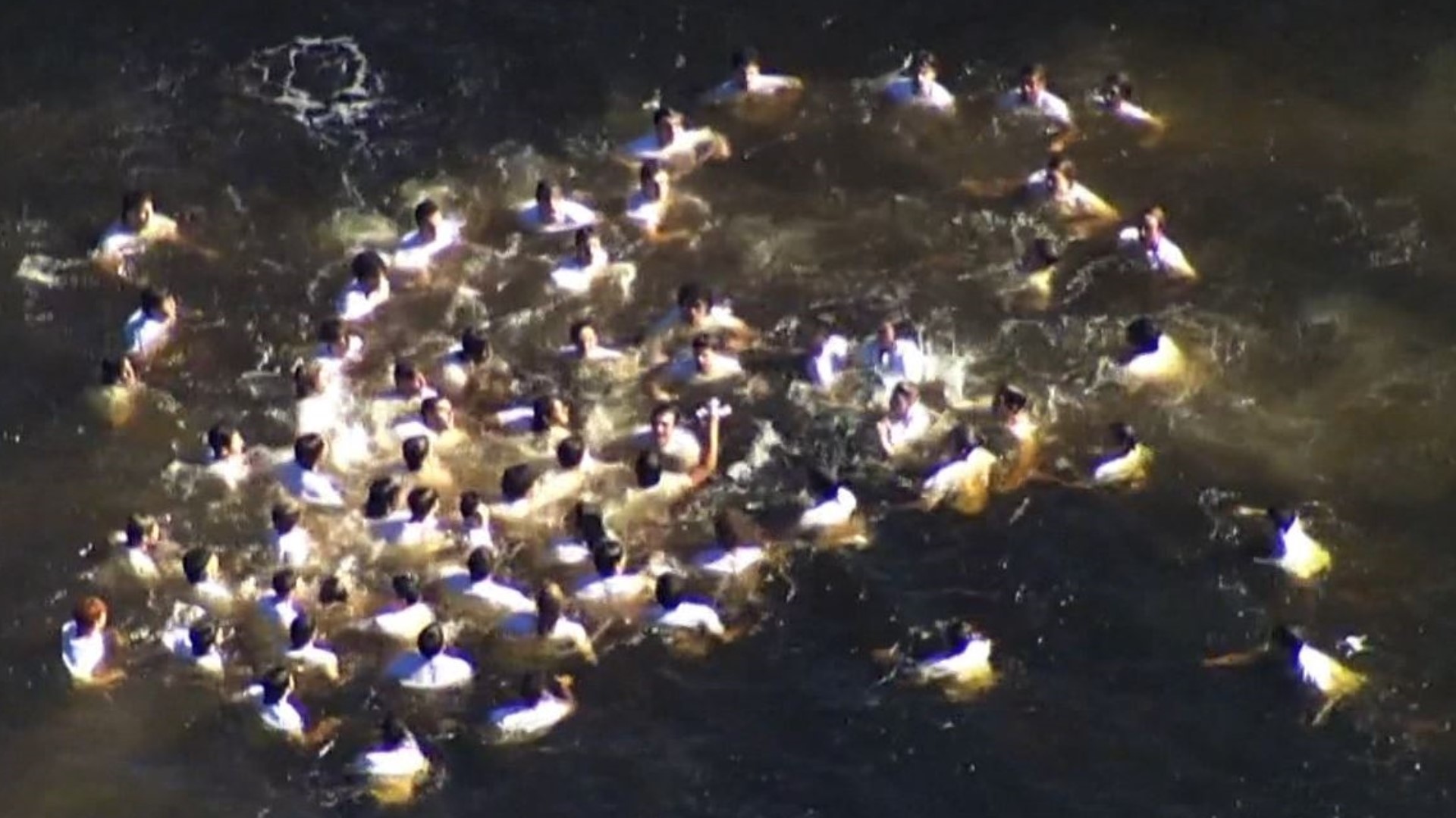 2024 Epiphany celebration, cross dive happening Saturday | wtsp.com