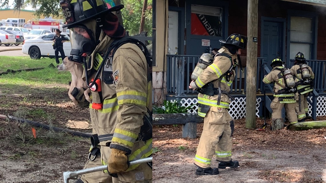 Winter Haven firefighters rescues 2 people, dog in fire | wtsp.com