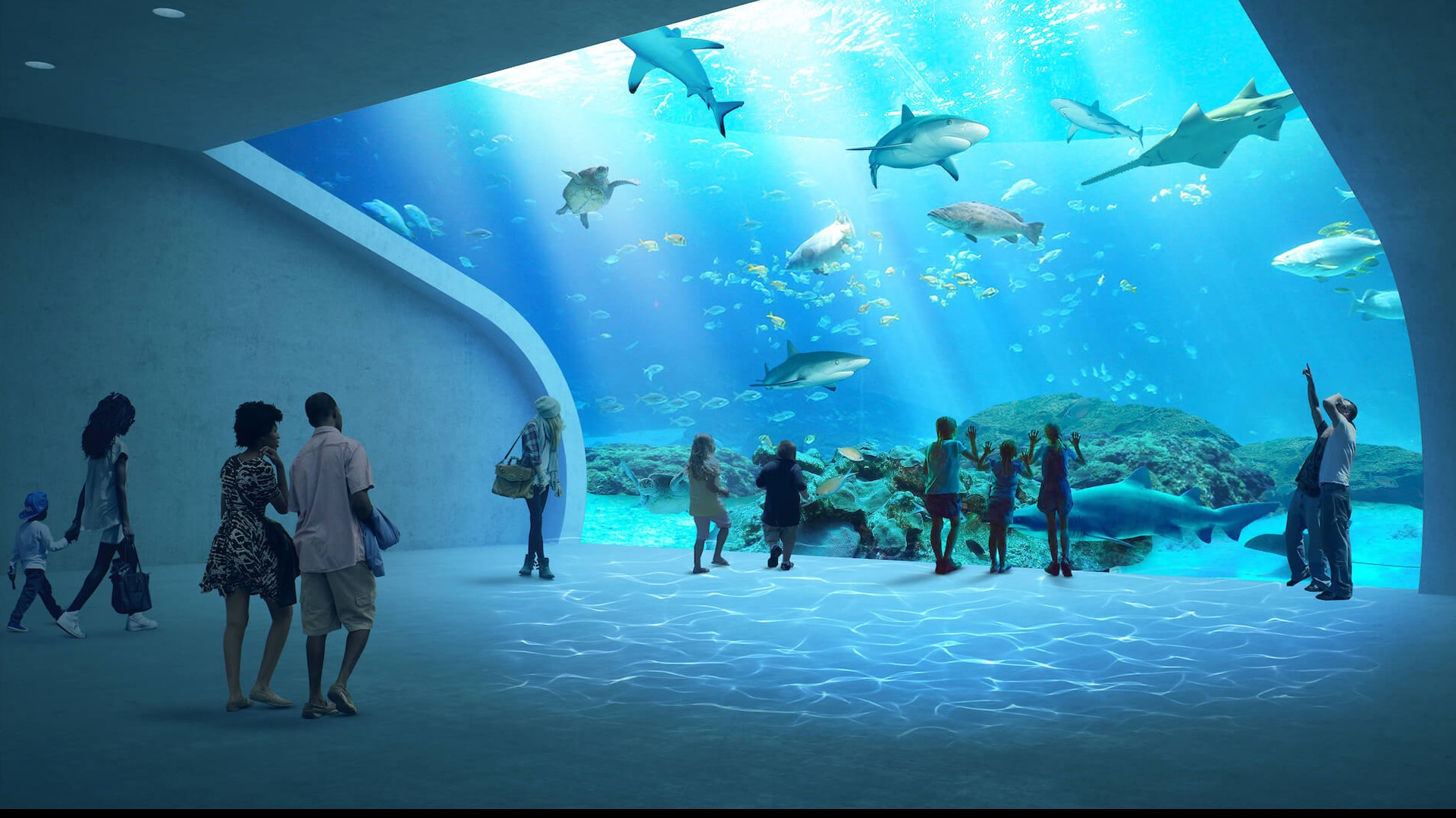 Mote is ready to build a new aquarium | wtsp.com