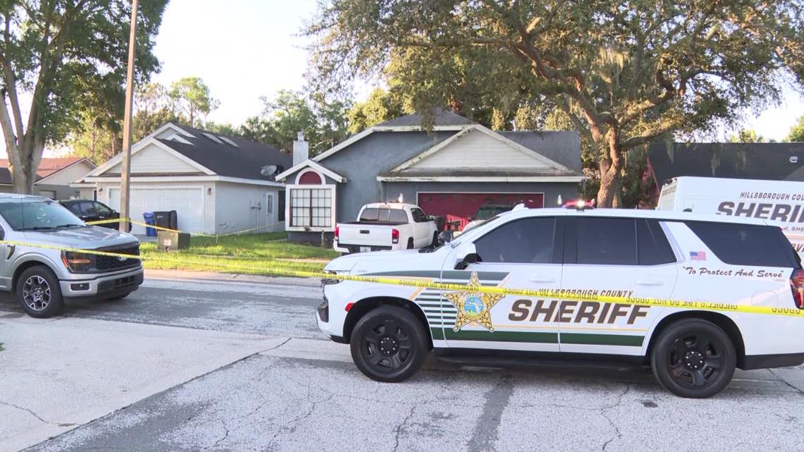HCSO: Homicide investigation underway after body found near Gandy ...