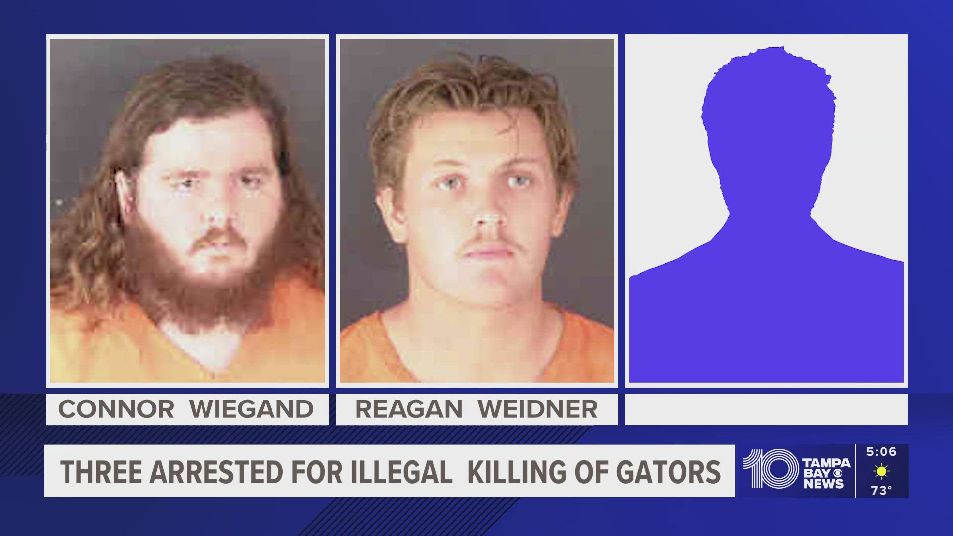 3 arrested in alligator poaching investigation in Sarasota, Manatee and ...