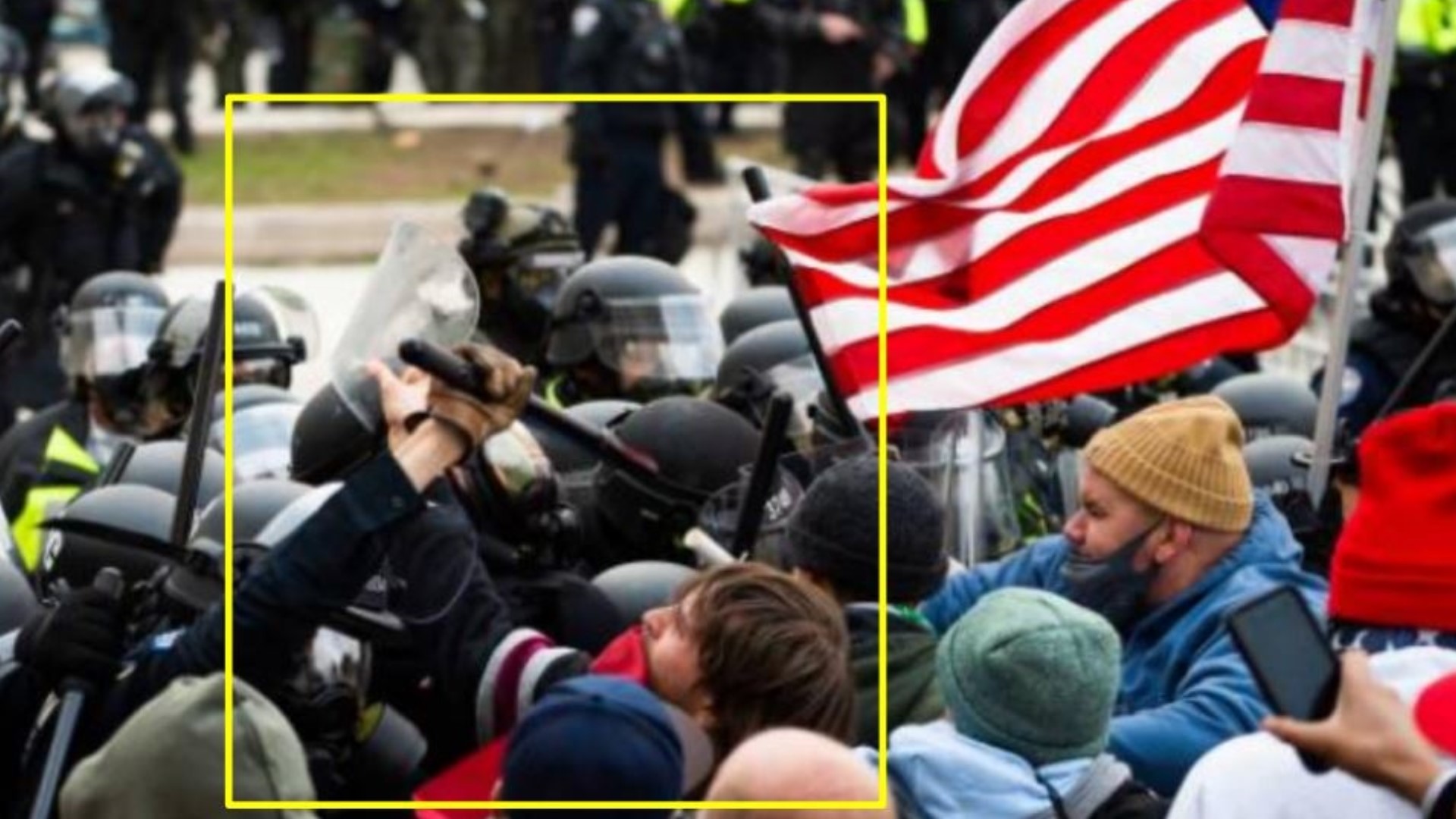 FBI arrests 'Sedition Panda' for Capitol attack | wtsp.com