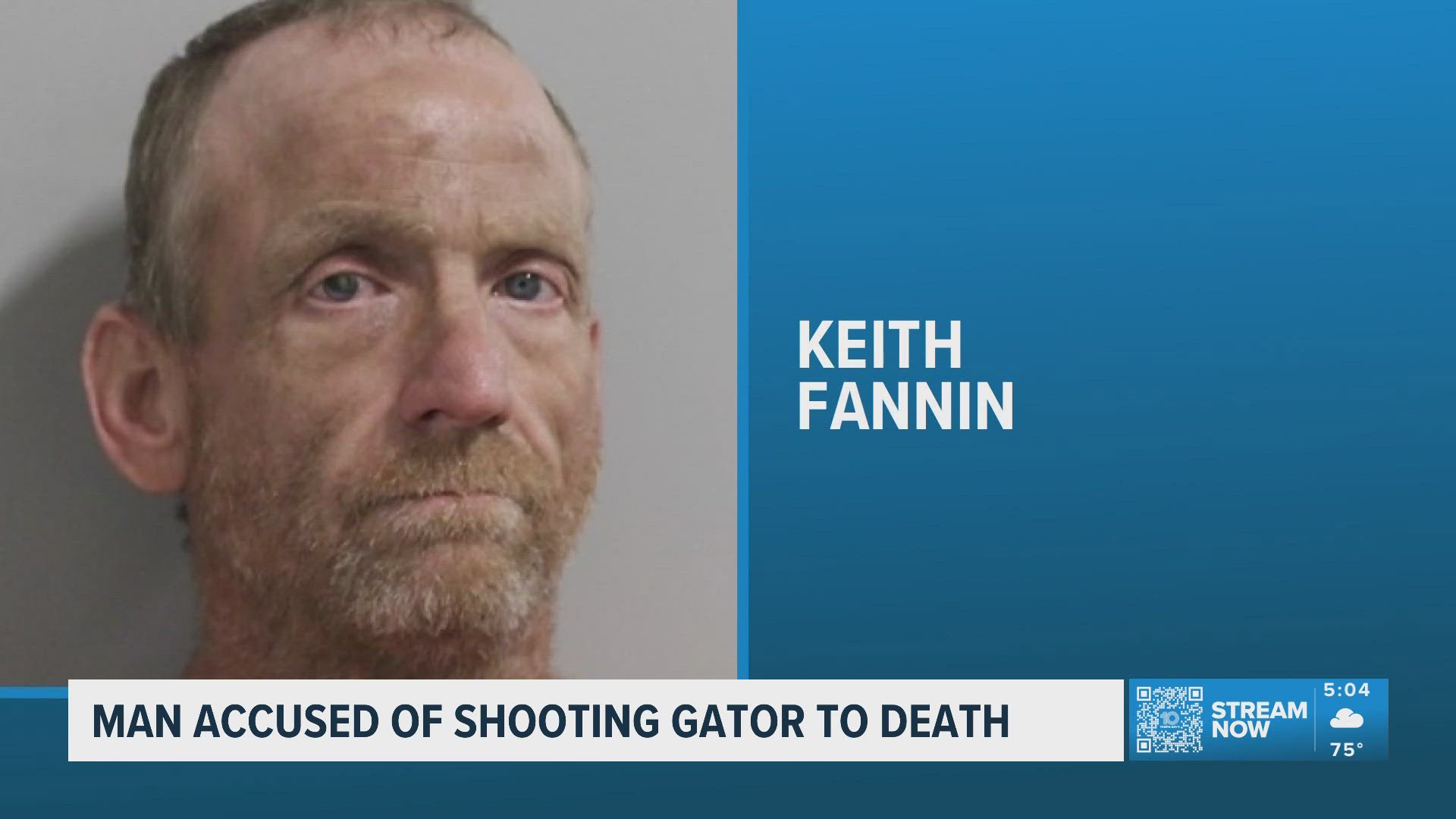 Polk County man arrested for shooting an alligator 'multiple times ...