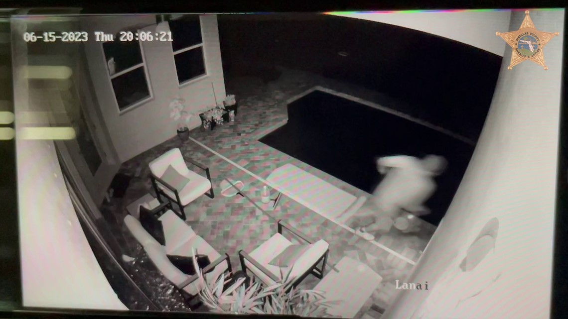 'Stand your ground' shooting: Man thought pool tech was intruder | wtsp.com