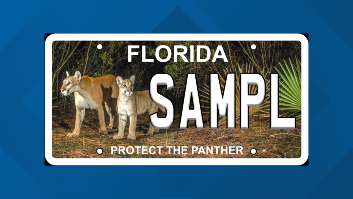 Florida’s 'Protect the Panther' license plate gets new design | wtsp.com