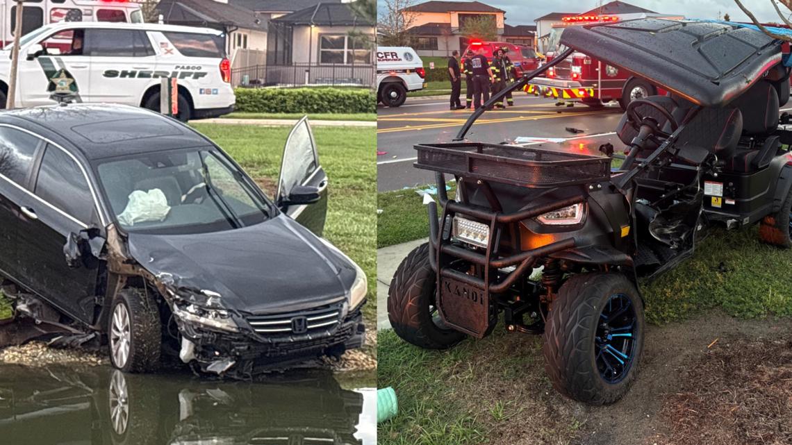 Pasco County family of 7, neighbor, seriously injured after golf cart ...