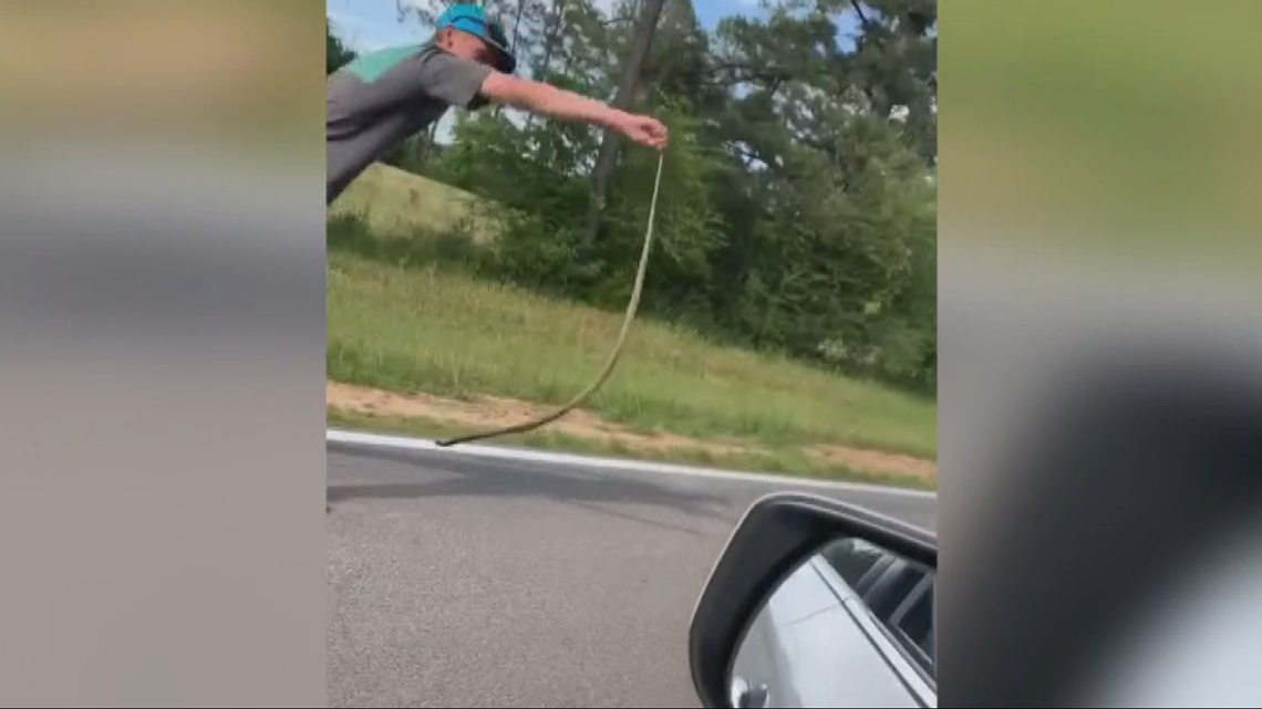 Incoming! Brother pretends to throw snake at sister -- but he loses his ...