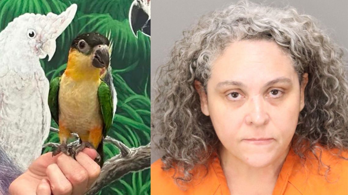 Florida woman arrested for stealing exotic bird from store | wtsp.com