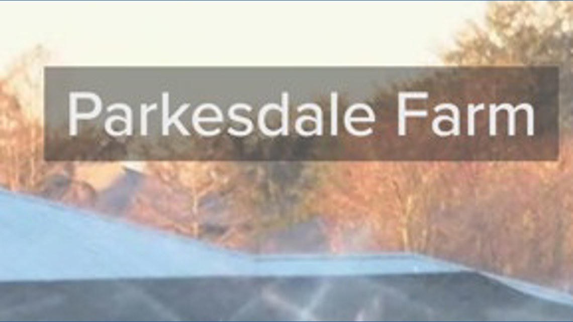 How to protect strawberries in cold weather | wtsp.com