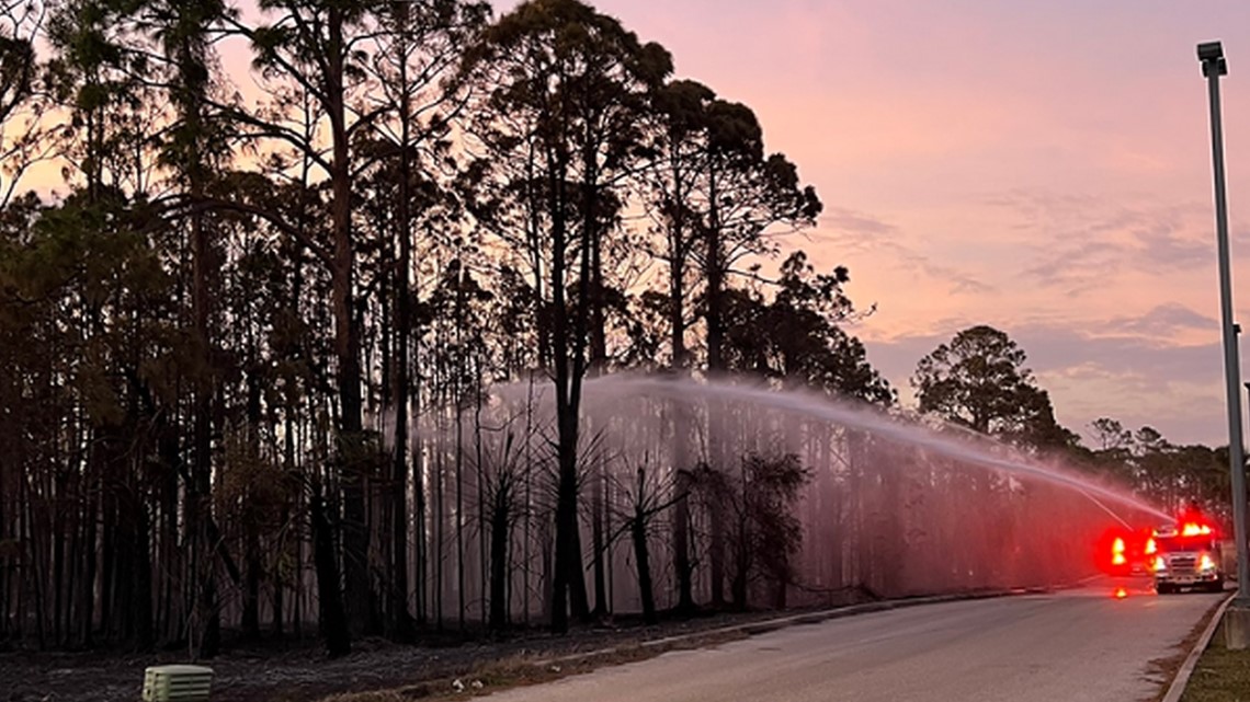 Officials: North Port brush fire now contained | wtsp.com