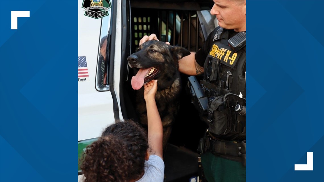 Pasco County Sheriff's Office celebrates retirement of 2 K-9s | wtsp.com