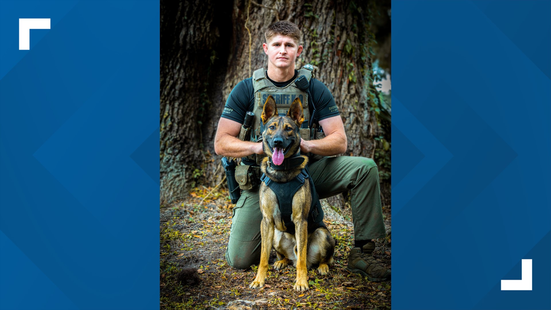Marion County Deputy K-9 Leo shot in the line of duty | wtsp.com