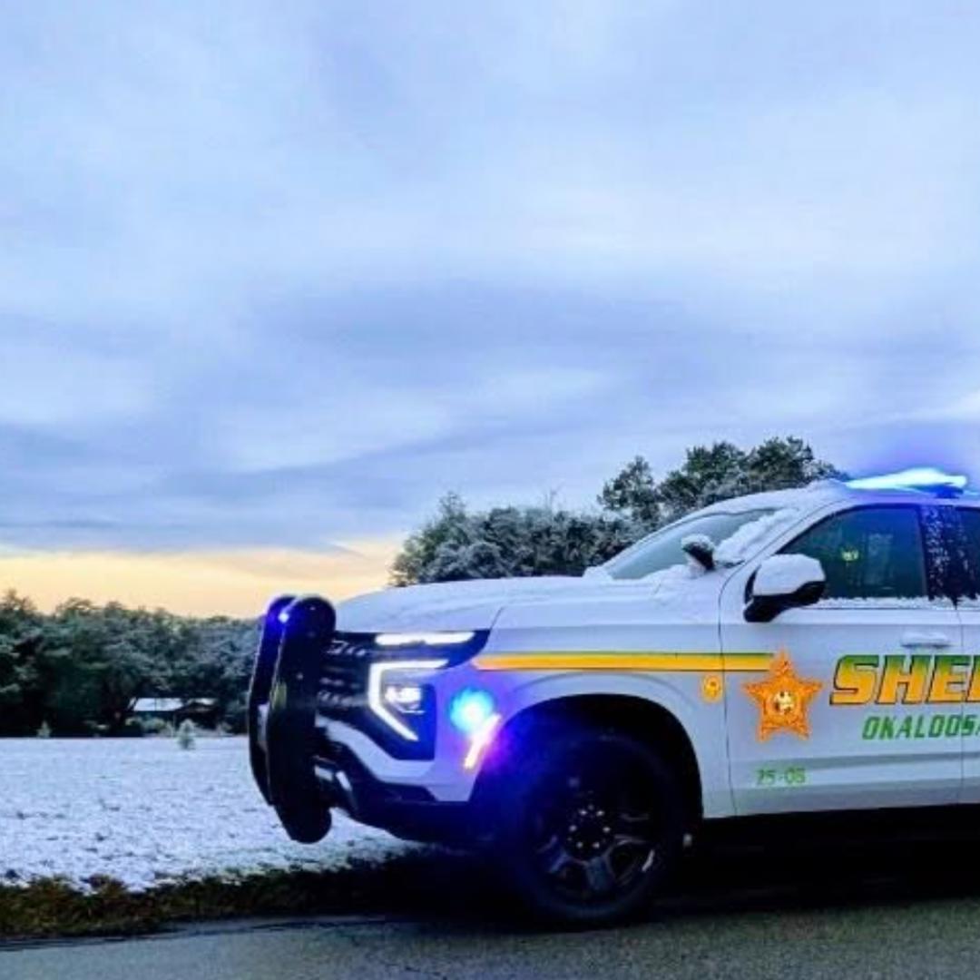 Florida snow 2026: Here are photos, videos capturing snowfall across ...