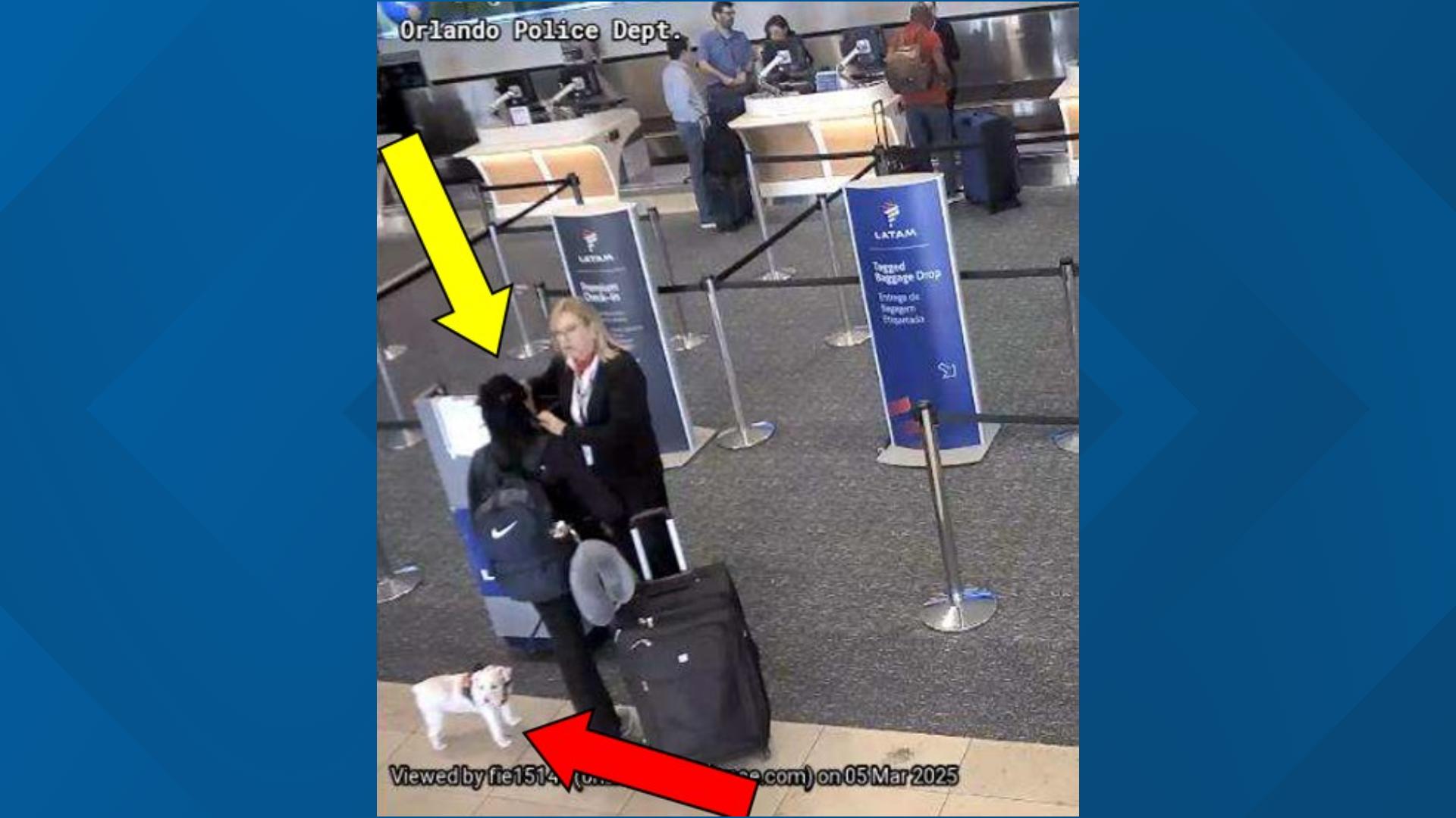 Florida woman drowned dog in airport bathroom after denied boarding ...