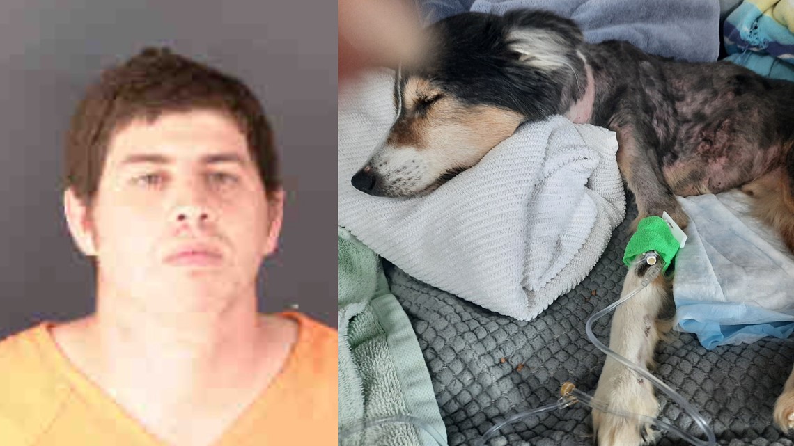 Ex-Florida deputy arrested for aggravated animal cruelty | wtsp.com