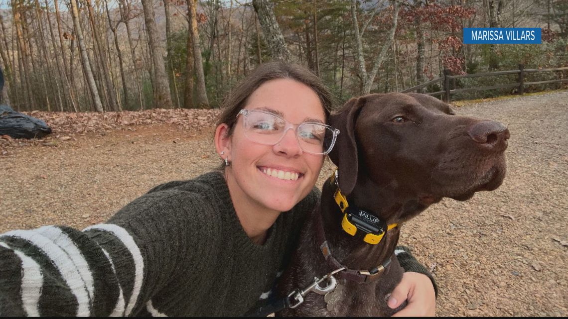 Pythiosis, or swamp cancer, affecting dogs in Sarasota, Manatee ...