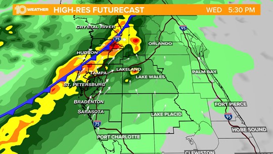 Watch | 10 Tampa Bay Live and On-Demand Videos | Tampa, Florida | wtsp.com