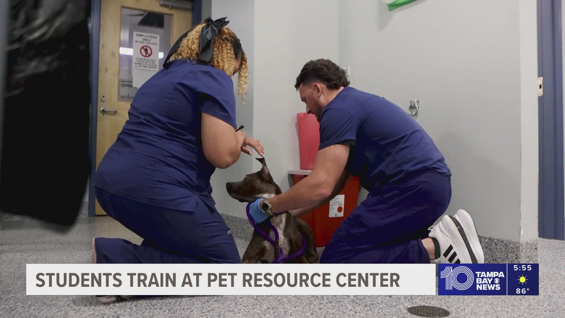 Students get hands-on experience at Hillsborough County Pet Resource ...
