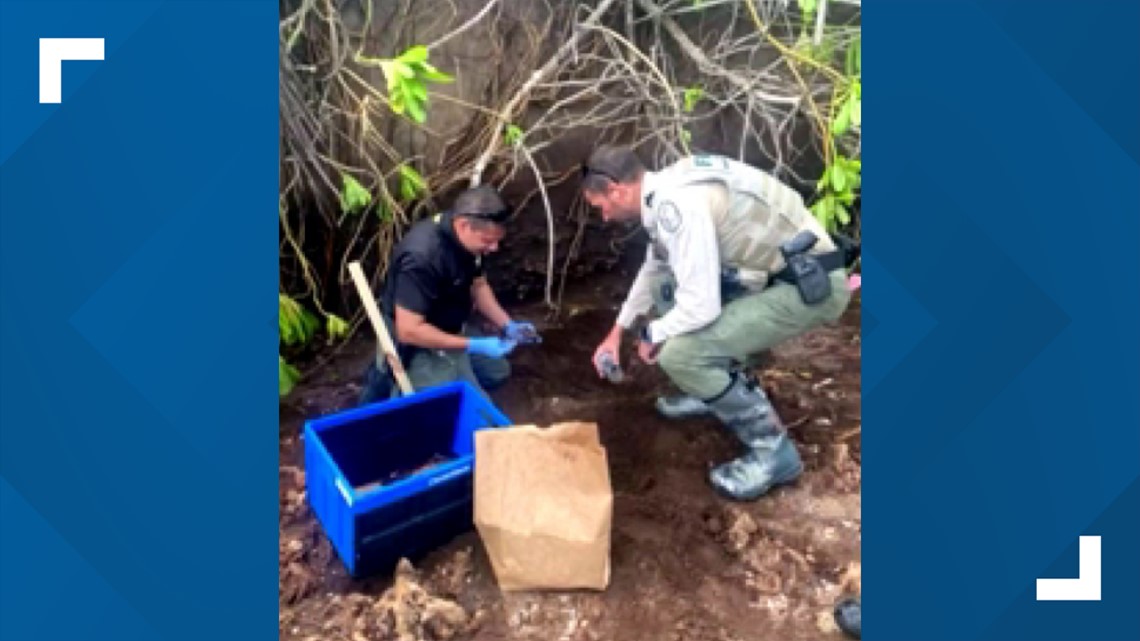 Human Remains Unearthed In Florida By Hurricane Nicole